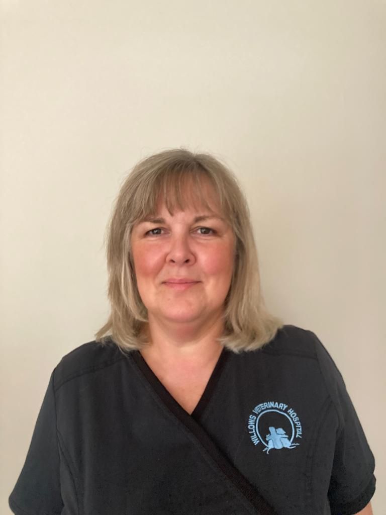 Meet Our Team | Willows Vet Hospital